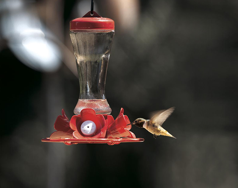 Menards bird feeders store